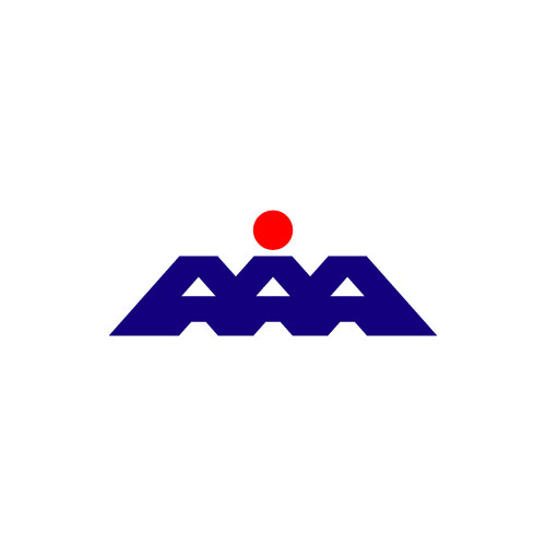 1991 AAA - Pro ICE